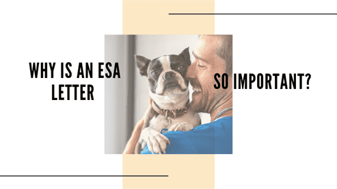 Why do I need a doctor’s referral for an ESA? - ESA Care