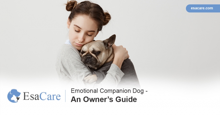 Emotional Companion Dog - An Owner’s Guide - ESA Care