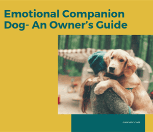 The 7 Most Important Commands to Teach an Emotional Support Dog