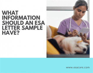 What Information Should an ESA Letter Sample Have? - ESA Care