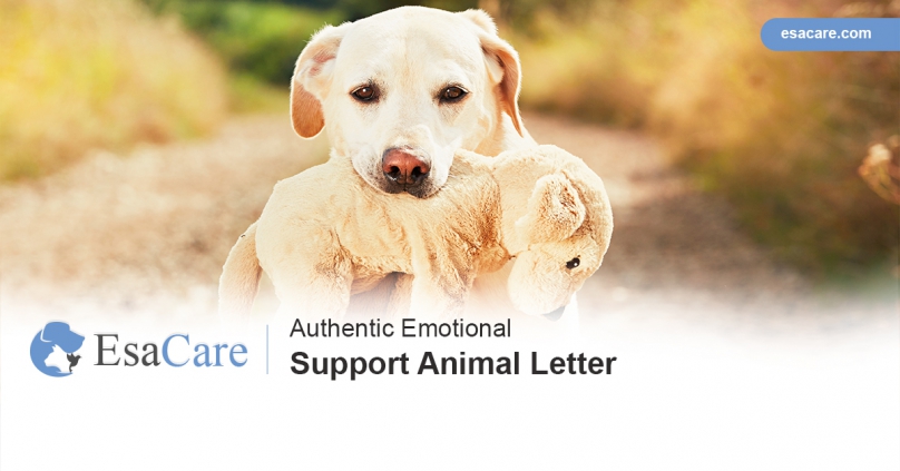 Authentic Emotional Support Animal Letter - ESA Care