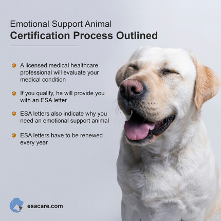 Emotional Support Animal Certification in America - ESA Care