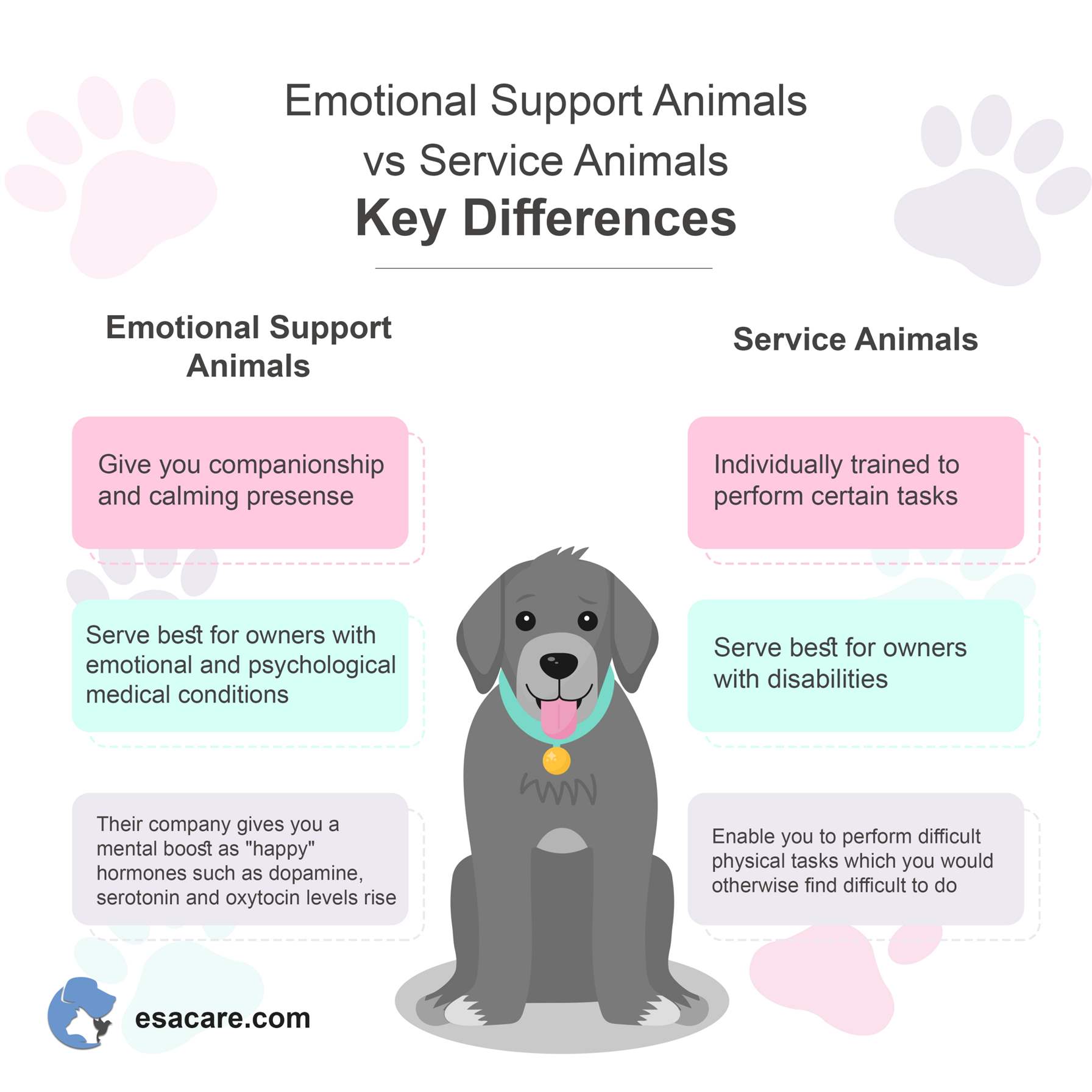 Is There Training For Emotional Support Dogs