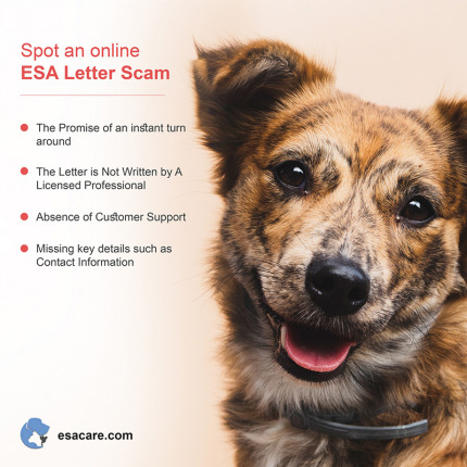 11 Things to Look Out for In a Fake ESA Letter - ESA Care