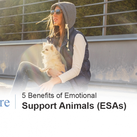 Benefits of Having an Emotional Support Animal Cat - ESA Care
