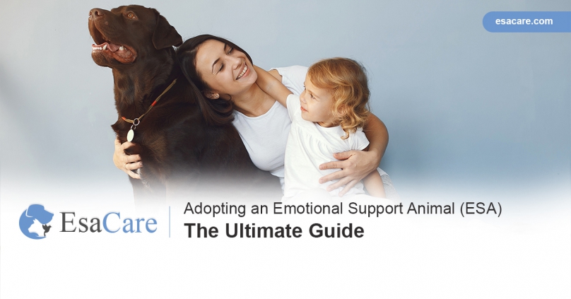 Adopting an Emotional Support Animal (ESA): The Ultimate Guide - ESA Care