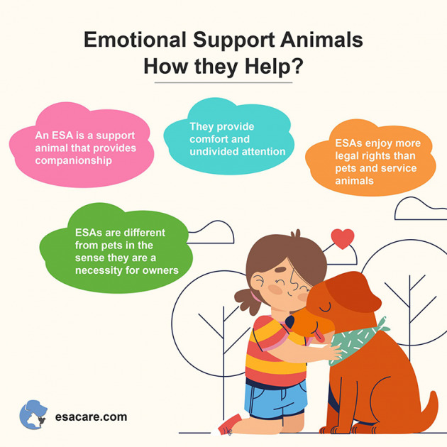 Adopting an Emotional Support Animal (ESA): The Ultimate Guide - ESA Care