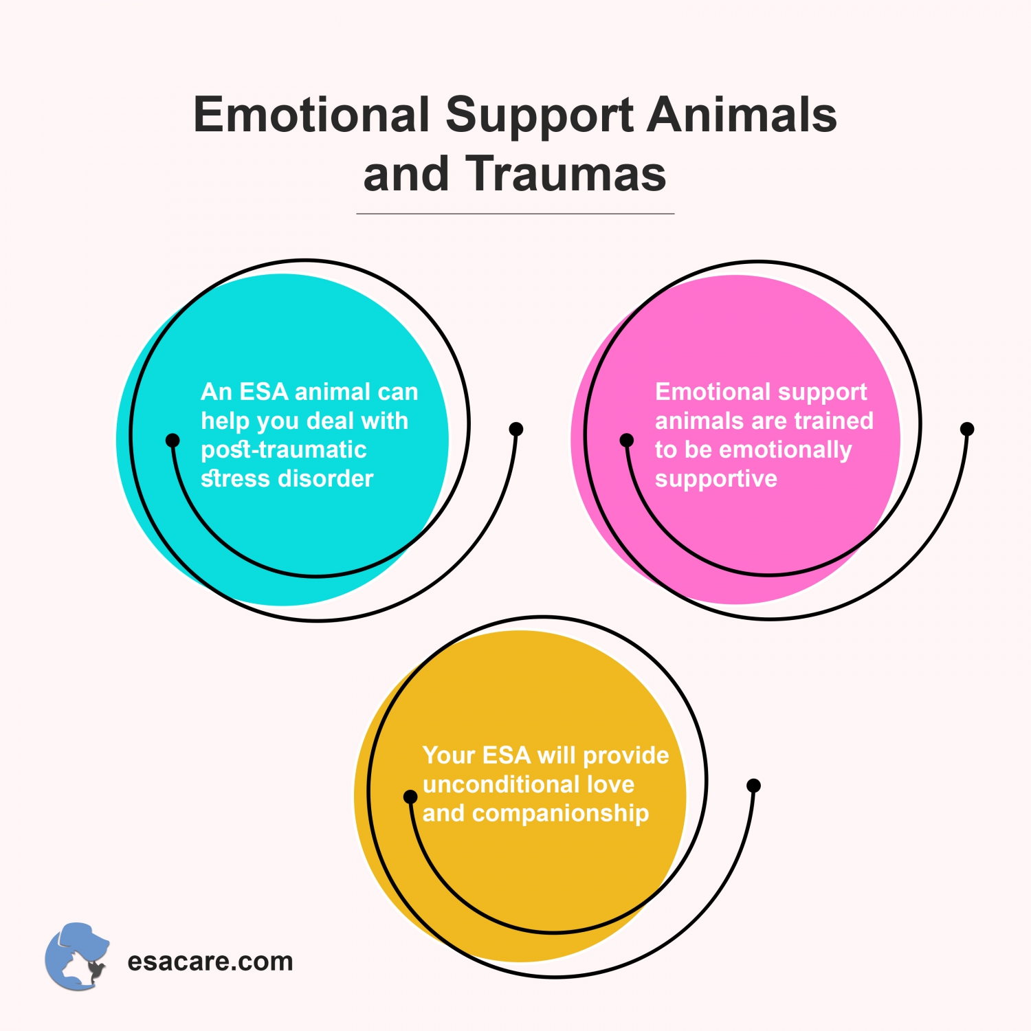 17 Amazing Benefits of an ESA Letter You Did Not Know - ESA Care