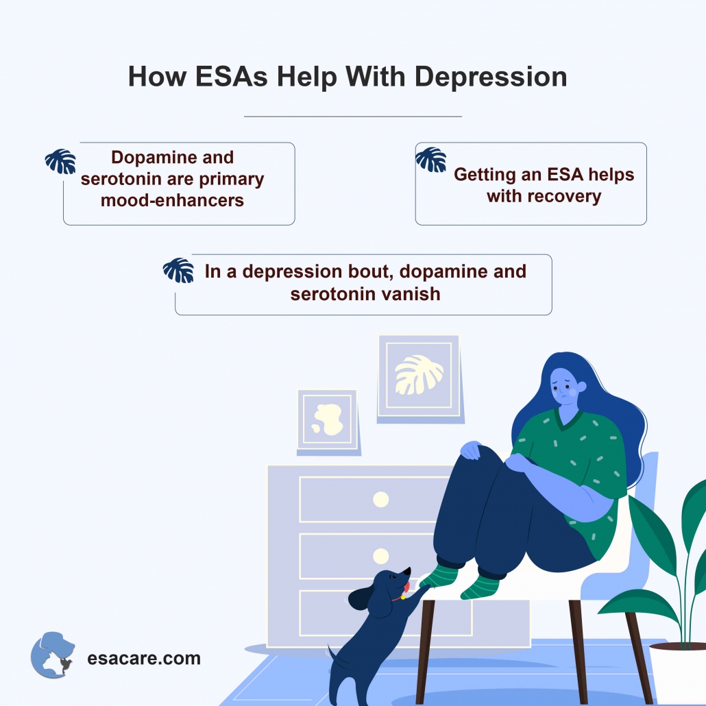 11 Ways an ESA Can Help in Treatment of Depression - ESA Care
