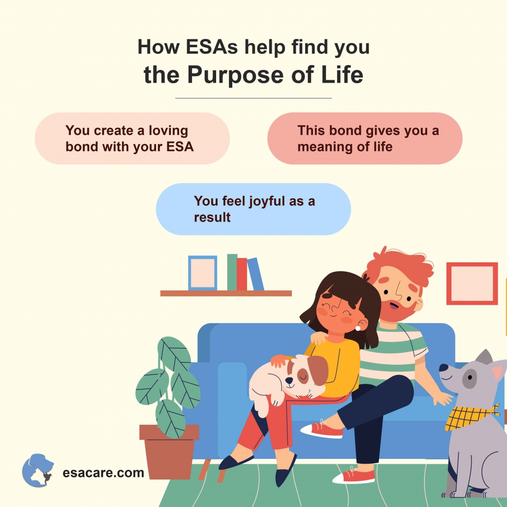 11 Ways an ESA Can Help in Treatment of Depression - ESA Care