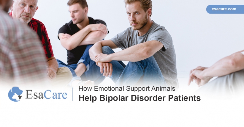 How ESA Pets Help Bipolar Disorder Patients - ESA Care
