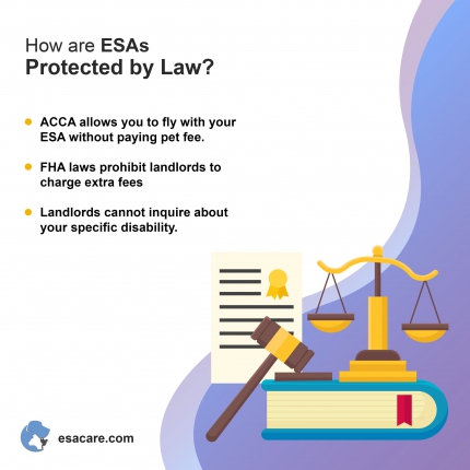 What are the Legal Requirements of ESA? - ESA Care