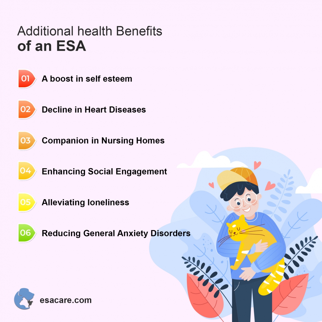 5 Mind Uplifting Abilities of Emotional Support Animals - ESA Care