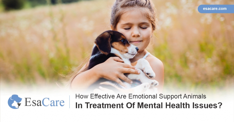How Effective Are ESA In Treatment Of Mental Health Issues? - ESA Care