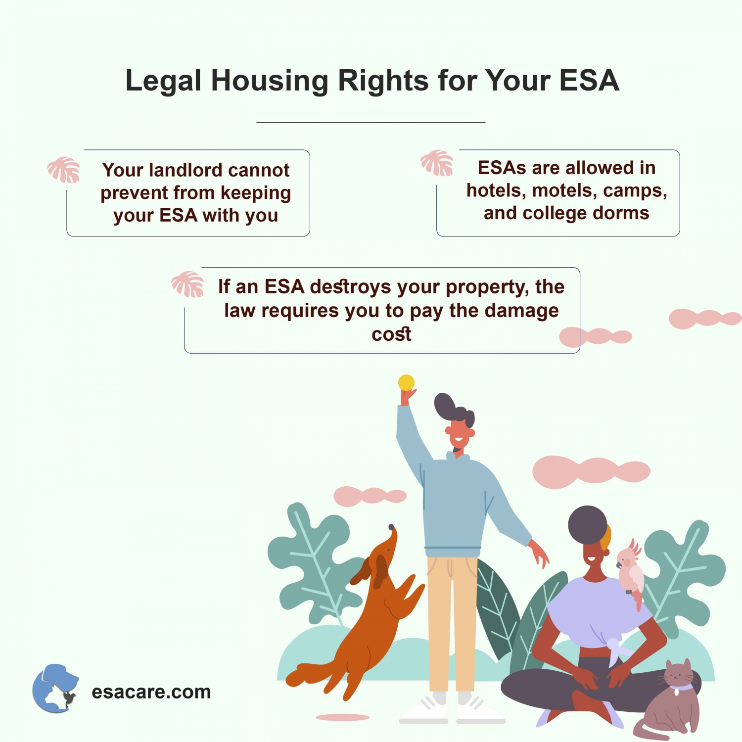 Legal Housing Rights Emotional Support Animals Enjoy - ESA Care