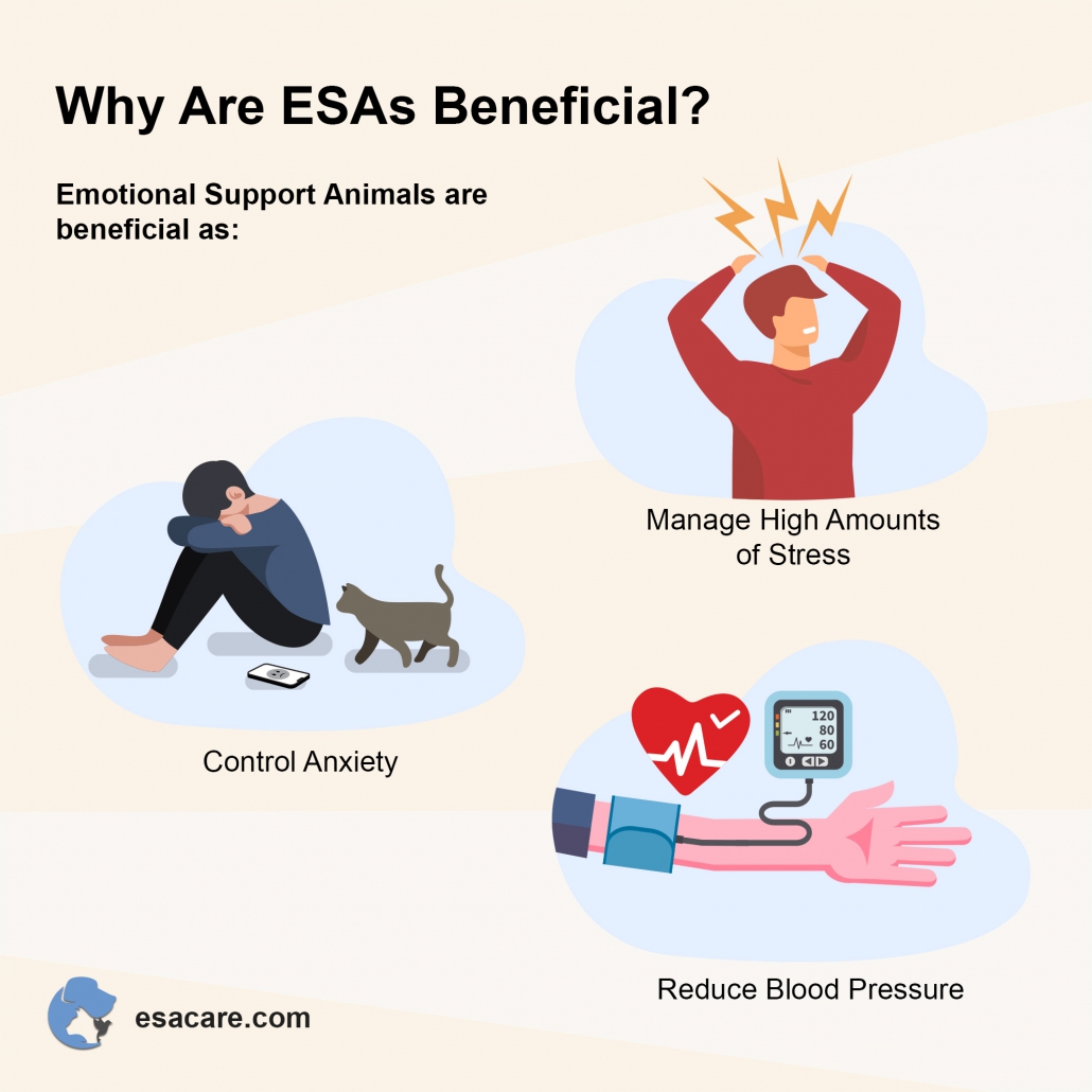 The Do's and Don'ts of ESA Letter Application - ESA Care