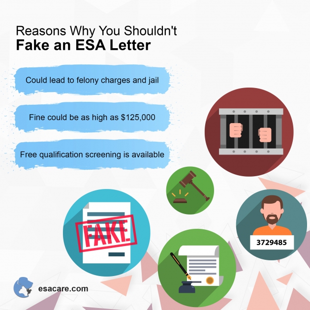 The Do's and Don'ts of ESA Letter Application - ESA Care