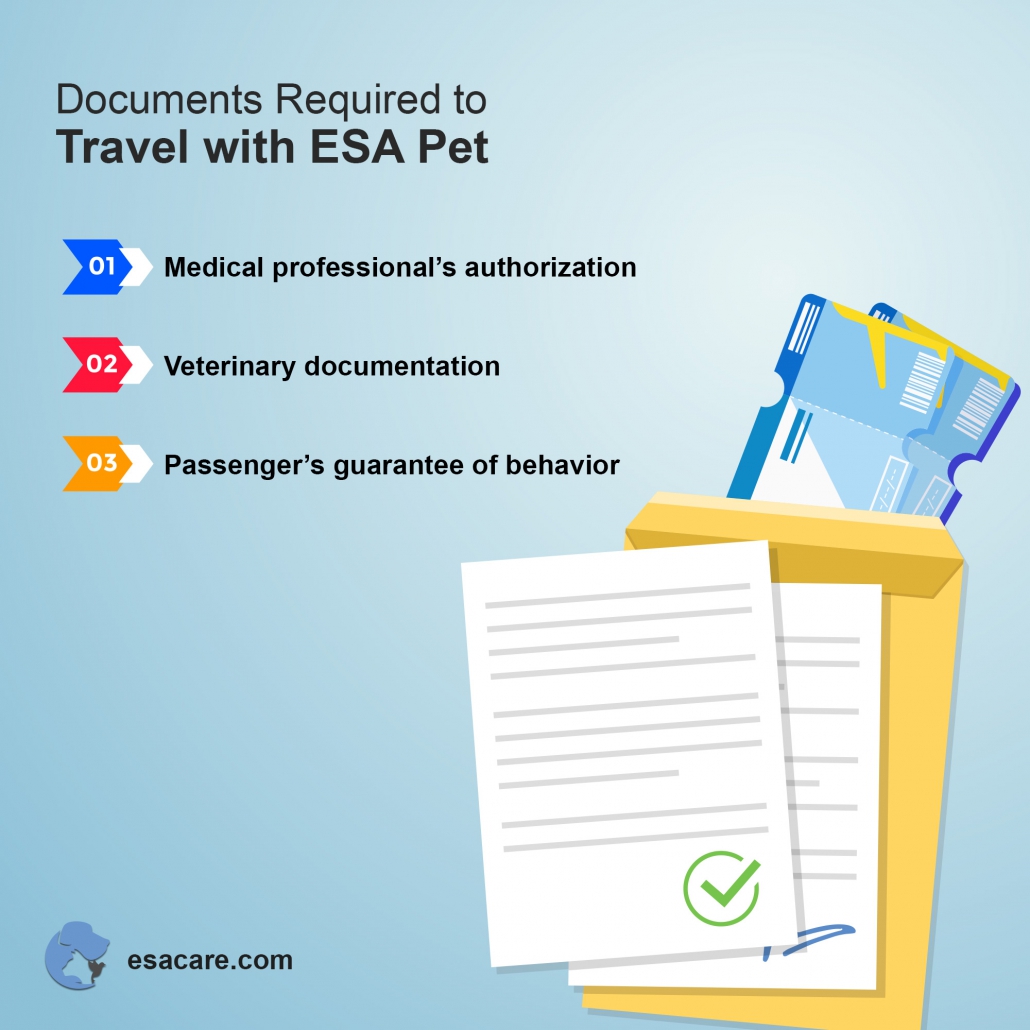 Housing and Travelling with ESAs: Know Your Rights - ESA Care