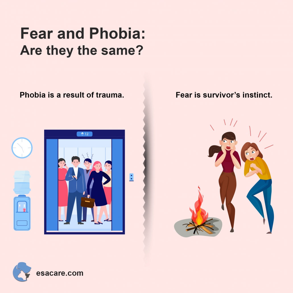 9 Reasons Why You Need an Emotional Support Dog Today - ESA Care