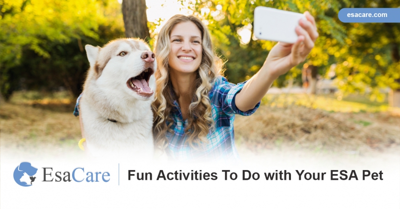 Fun Activities To Do with Your ESA Pet - ESA Care