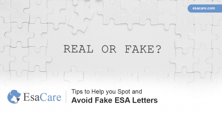 Tips to Help you Spot and Avoid Fake ESA Letters - ESA Care