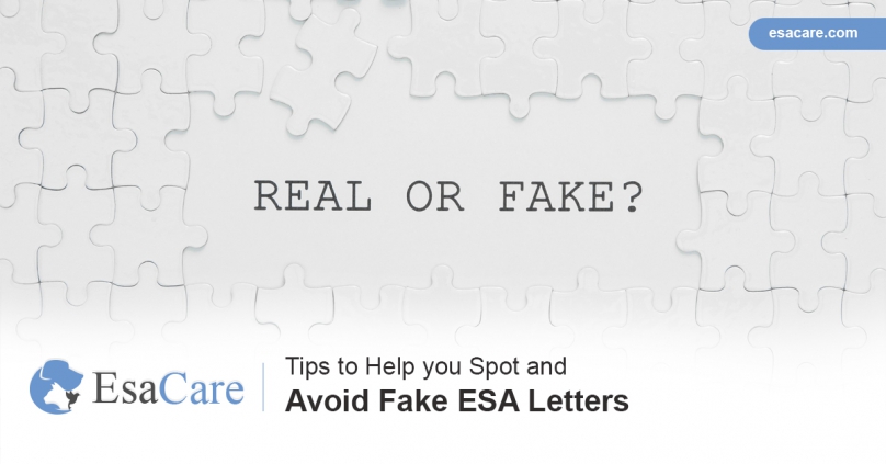 Tips to Help you Spot and Avoid Fake ESA Letters - ESA Care