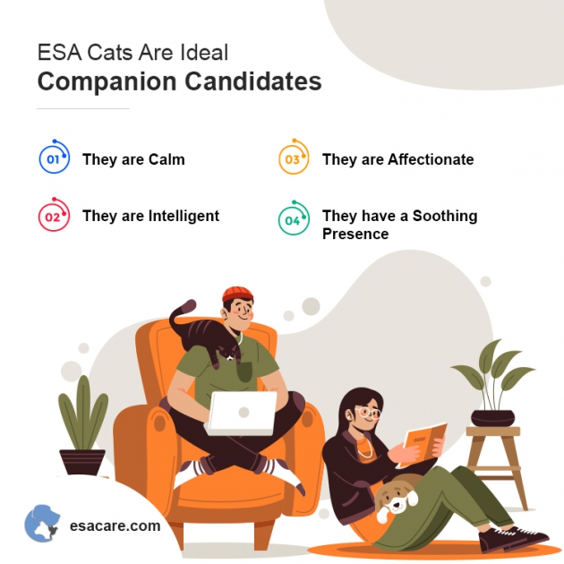 How to Turn Grief into Joy with an Emotional Support Animal - ESA Care