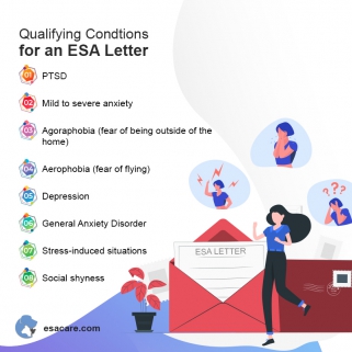 What Information Should an ESA Letter Sample Have? - ESA Care