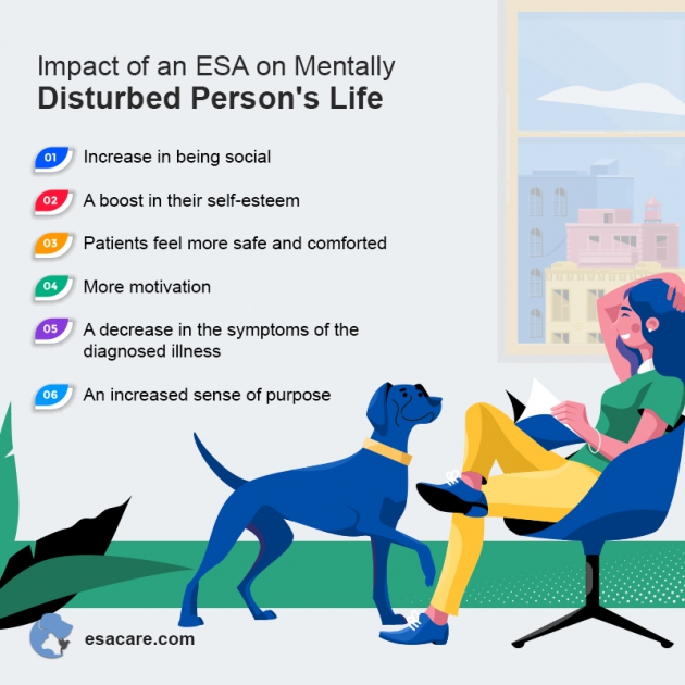 11 Researches Proving Pets Are Beneficial for Mental Health - ESA Care