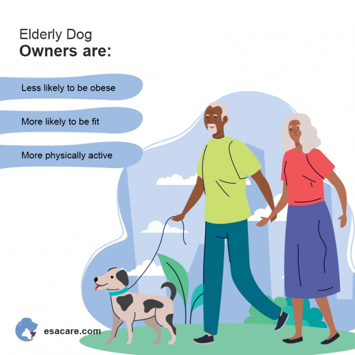11 Researches Proving Pets Are Beneficial for Mental Health - ESA Care