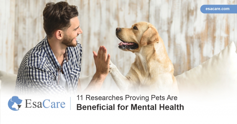 11 Researches Proving Pets Are Beneficial for Mental Health - ESA Care