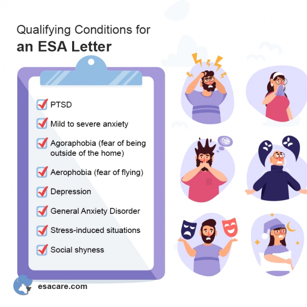 Do You Need To Register Your ESA? Understanding the Facts - ESA Care