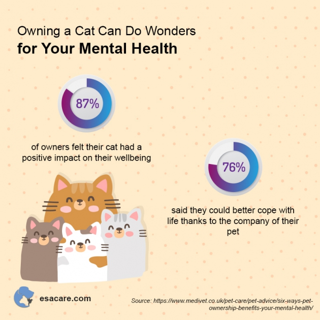 These 7 Cat Breeds Make The Best Emotional Support Animals - ESA Care