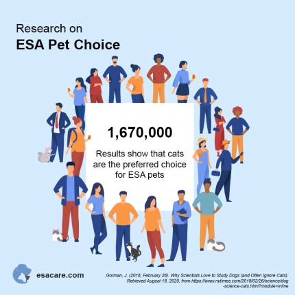 These 7 Cat Breeds Make The Best Emotional Support Animals - ESA Care