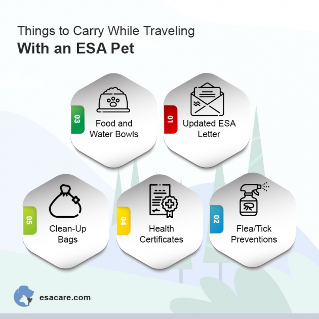 11 Simple Tips on How to Ask Your Doctor for an ESA Letter - ESA Care