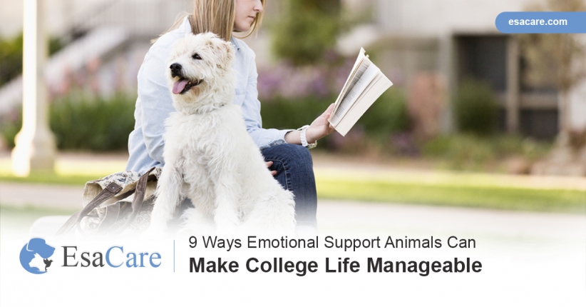9 Ways ESA's Can Make College Life Manageable - ESA Care