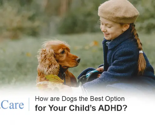 What Is The Best Dog For A Child With Adhd