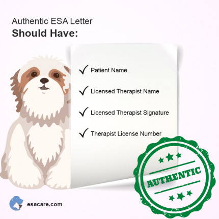 Fake ESA Letters: 7 Red Flags to Watch Out - ESA Care