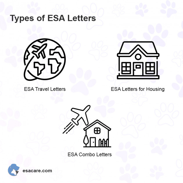 Fake ESA Letters: 7 Red Flags to Watch Out - ESA Care