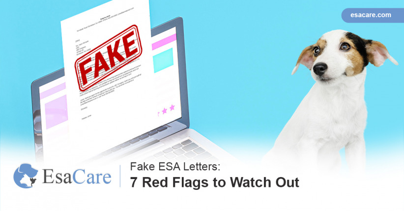 Fake ESA Letters: 7 Red Flags to Watch Out - ESA Care