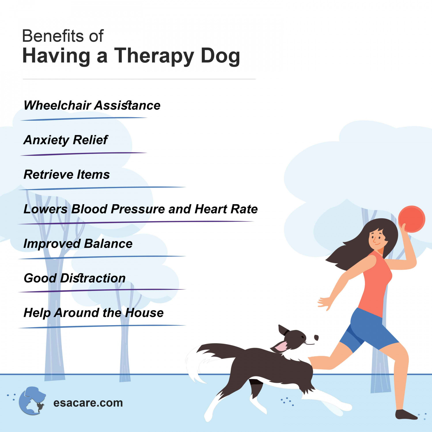 How Should You Train Your Dog as a Therapy Dog? - ESA Care