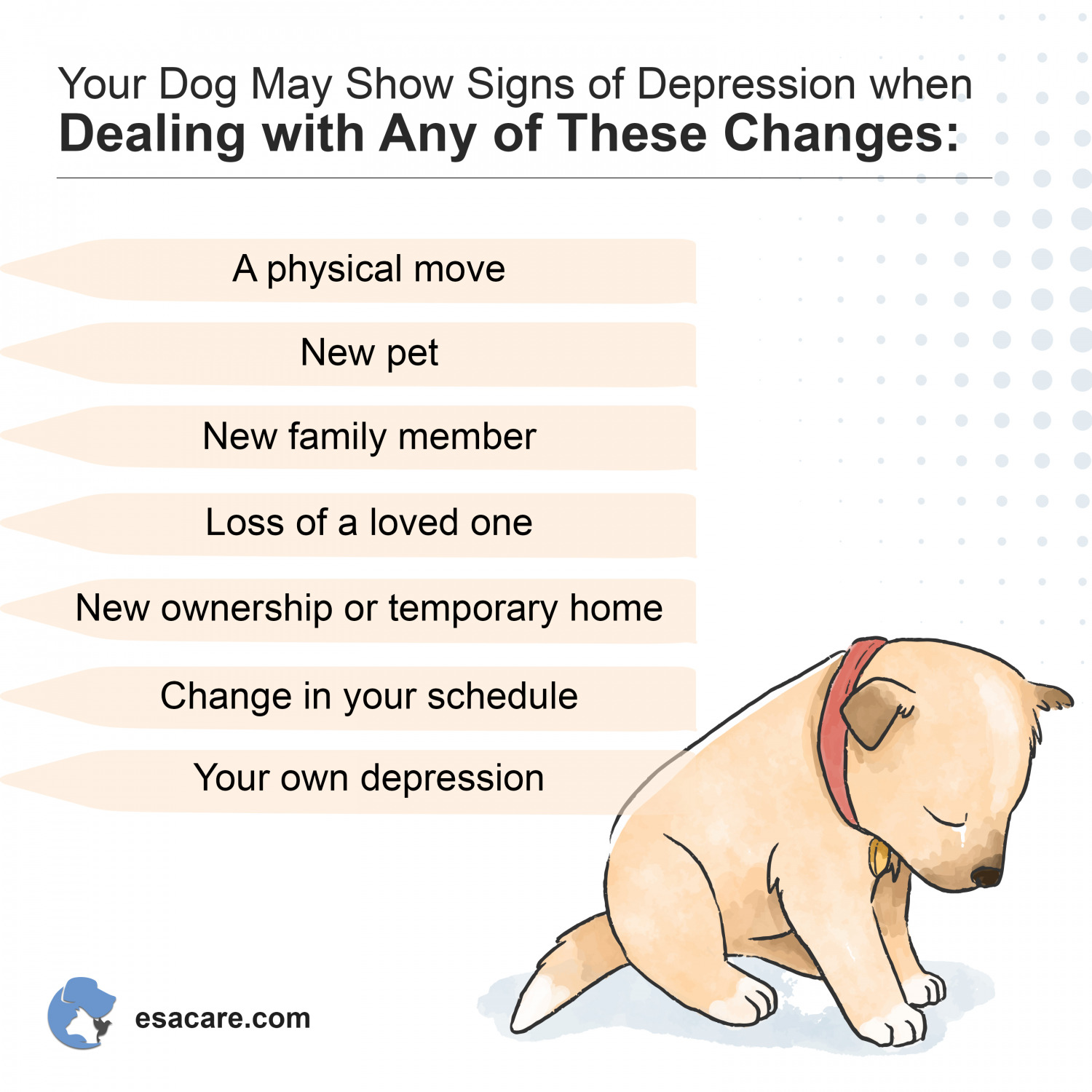 Can Dogs Be Depressed? Signs & Cure of Depression - ESA Care