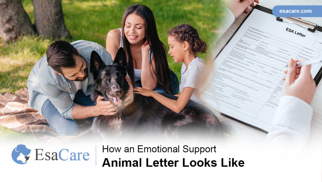 How an Emotional Support Animal Letter Looks Like - ESA Care