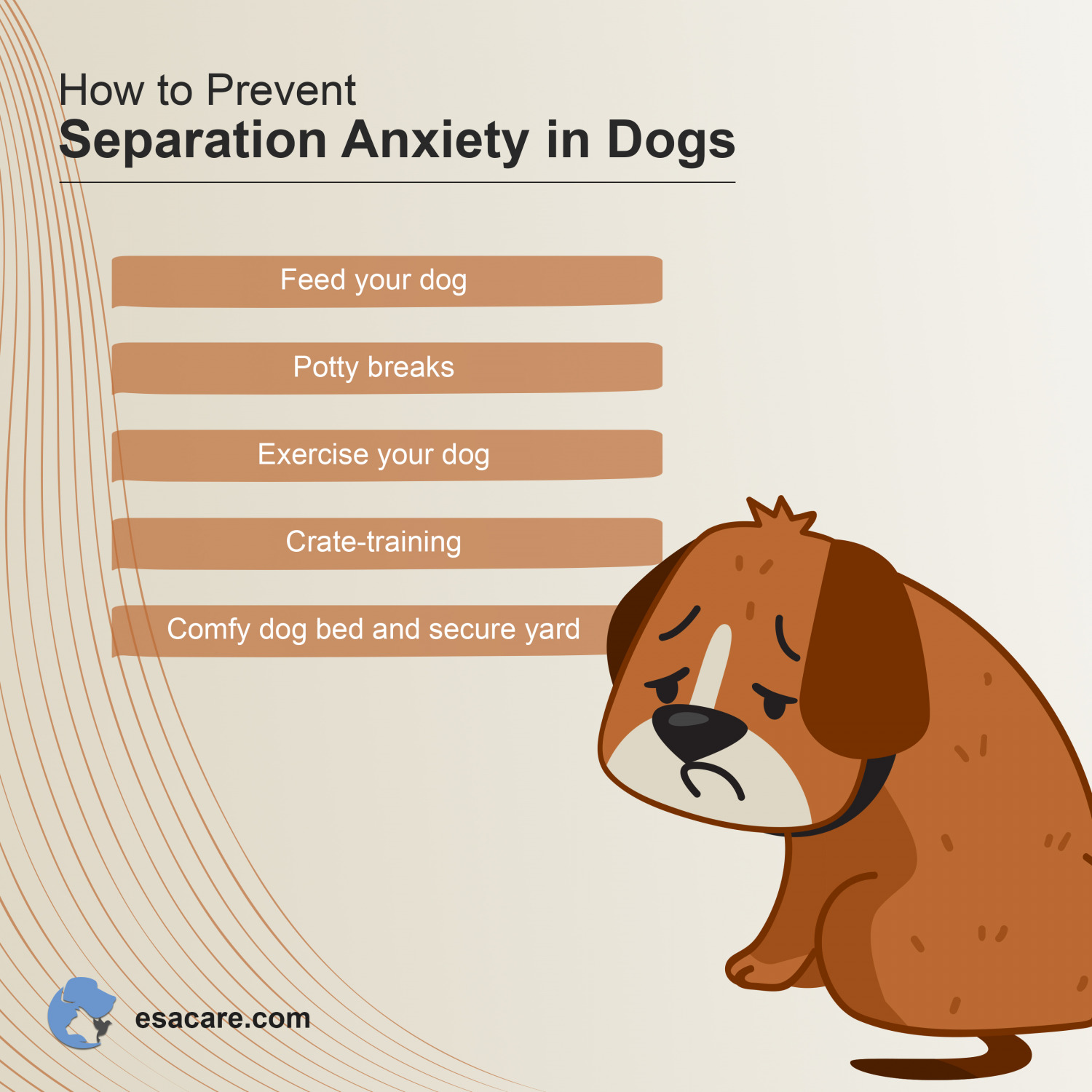 How to Relieve Separation Anxiety in Dogs? - ESA Care