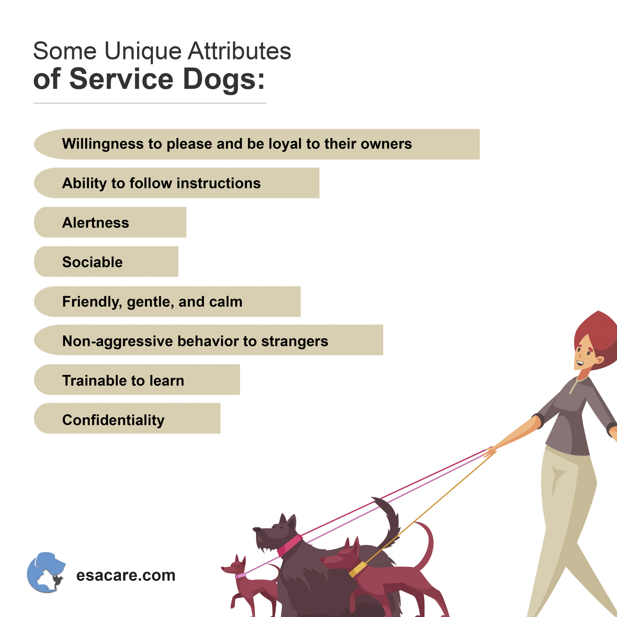 7 Suitable Breeds of Psychiatric Service Dog - ESA Care