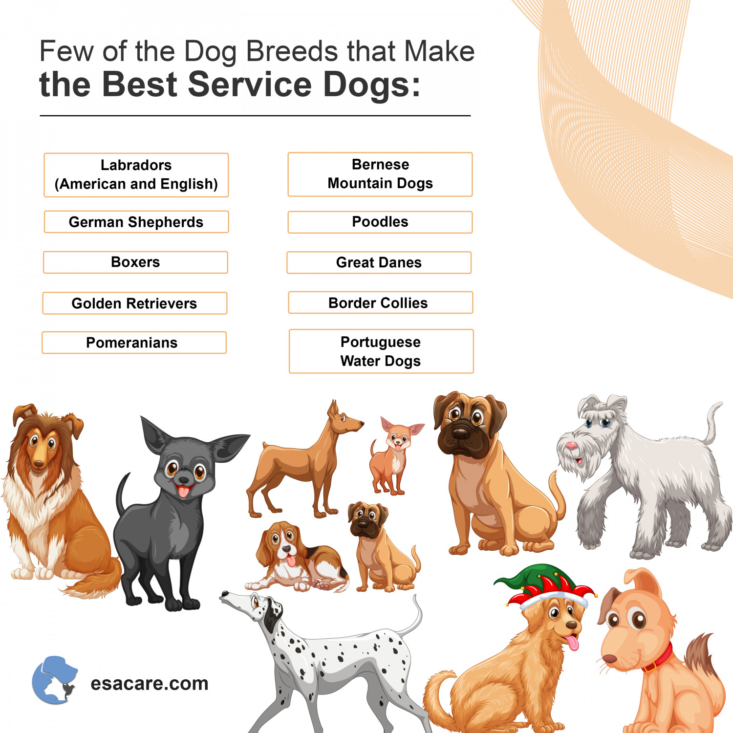 What Are The Duties Of Psychiatric Service Dogs - ESA Care