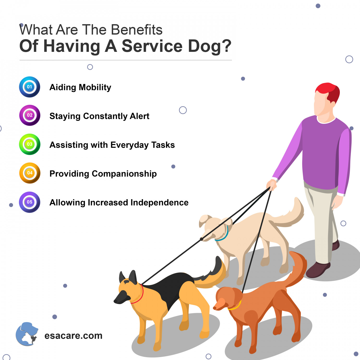 service-dogs-and-airbnb-a-guide-to-traveling-with-pets-esa-care