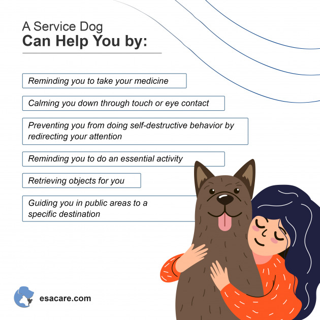 A Complete Guide On Psychiatric Service Dog Registration - ESA Care
