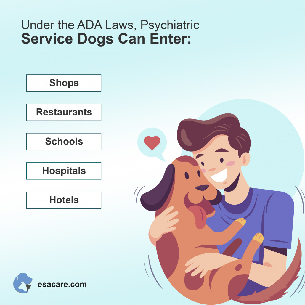 Laws and Ethics for Psychiatric Service Dog in the U.S - ESA Care