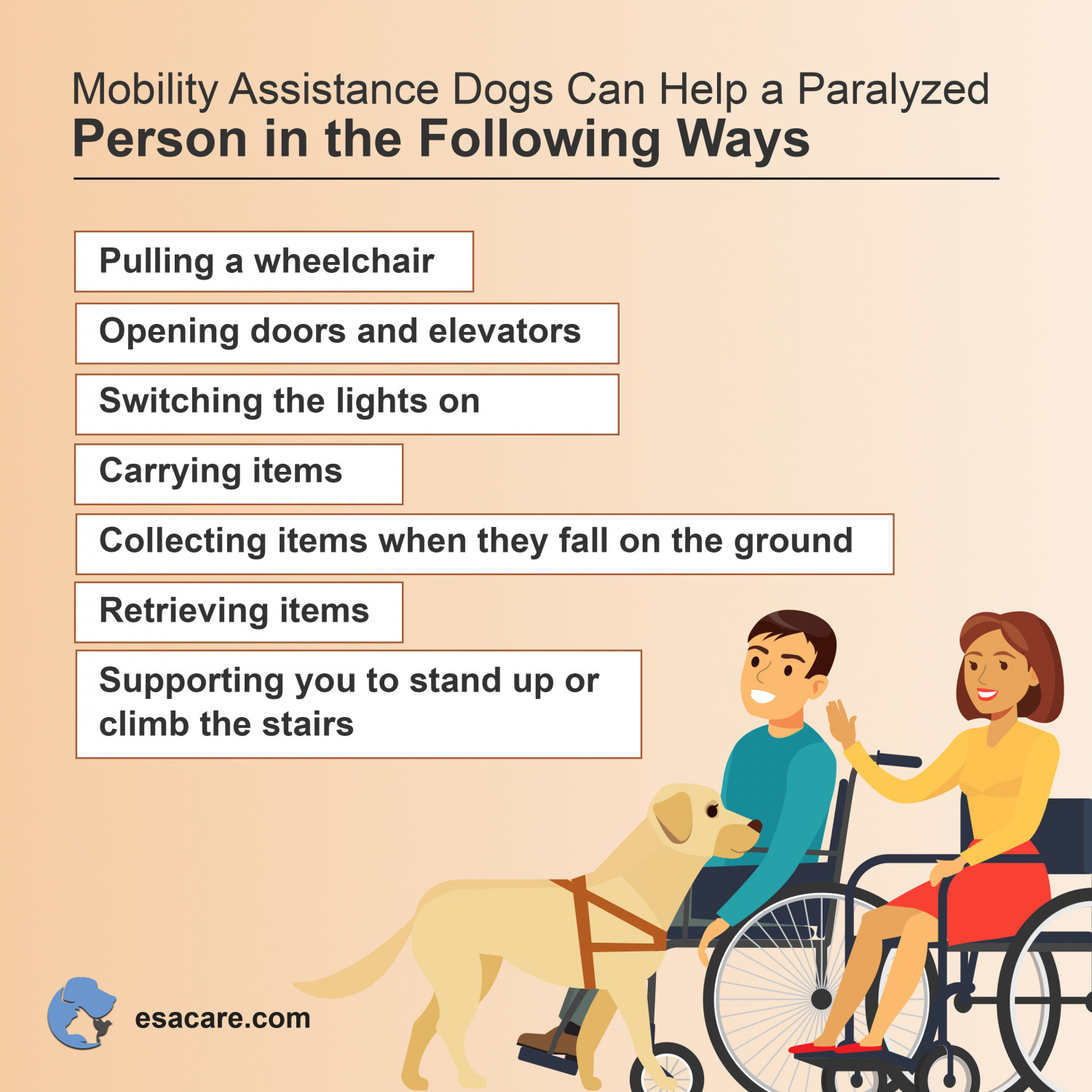 How Disability Assistance Dogs Help in Paralysis - ESA Care
